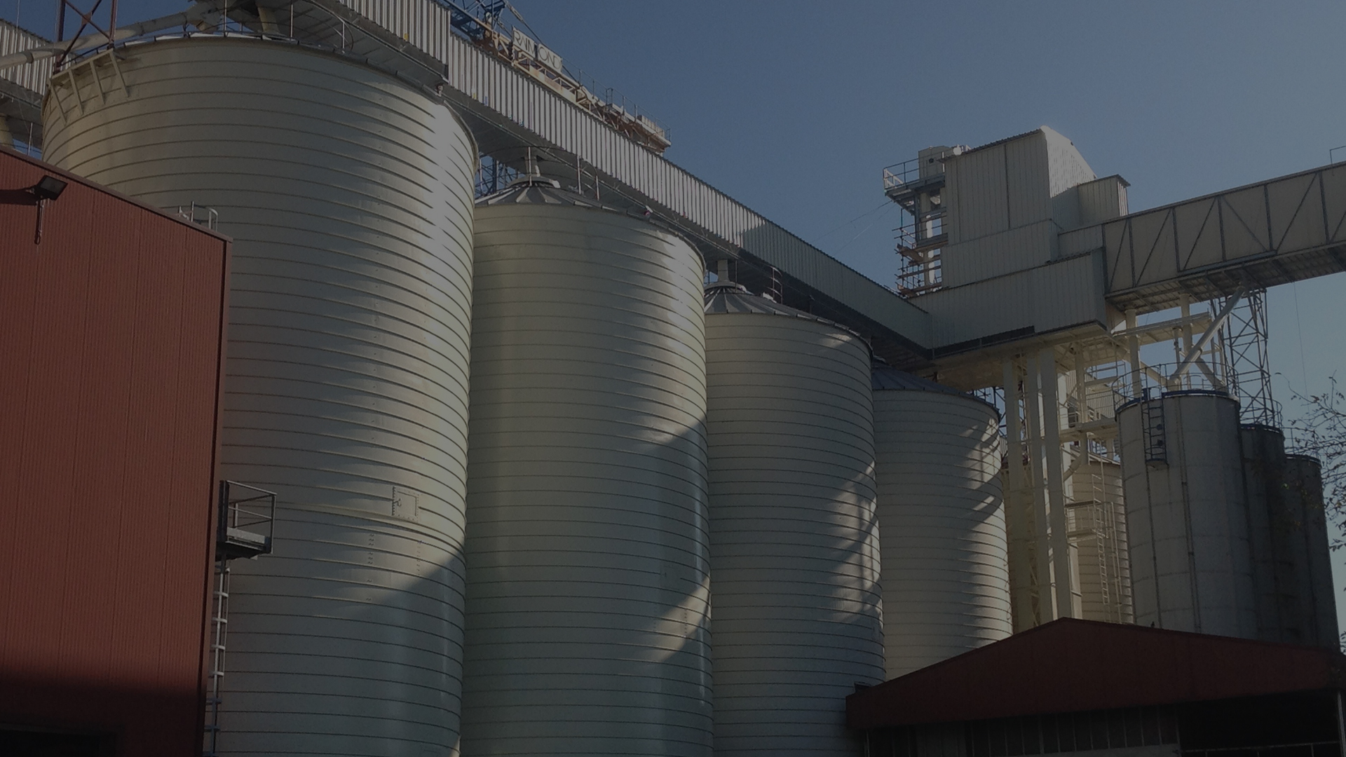 Speciale molini - PI-SA